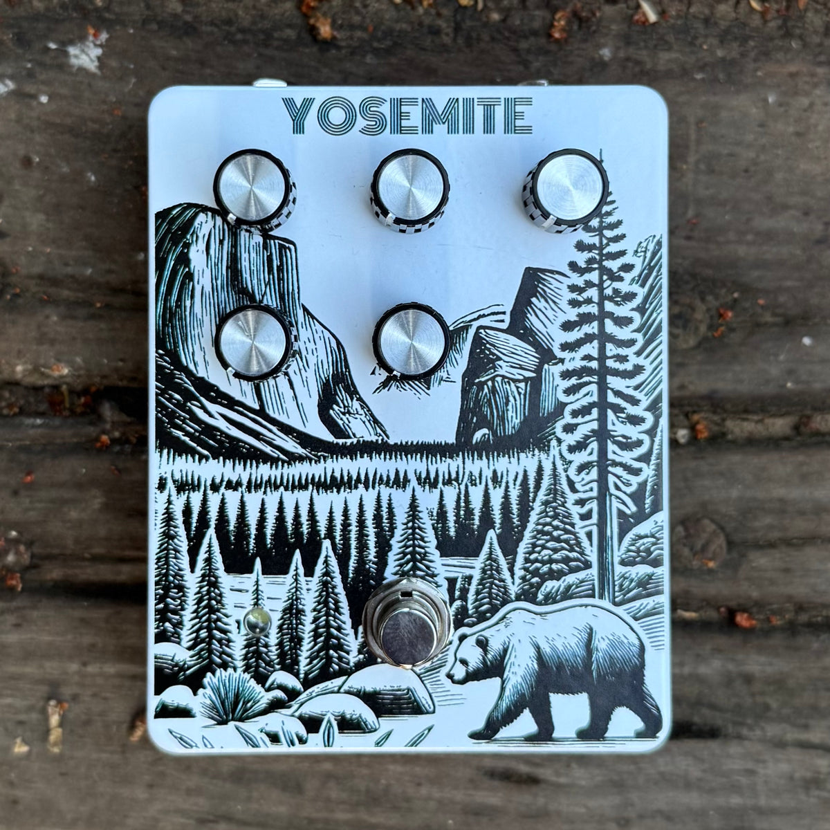 Junior Ranger Series: Yosemite – Spruce Effects