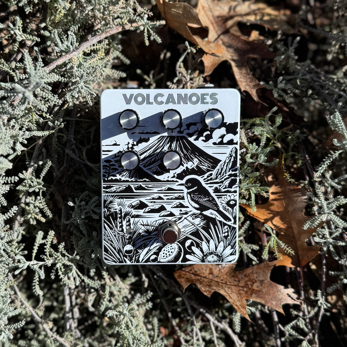 Junior Ranger Series: Volcanoes – Spruce Effects