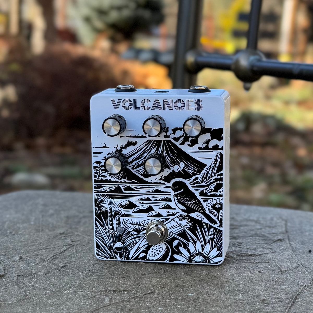 Junior Ranger Series: Volcanoes – Spruce Effects